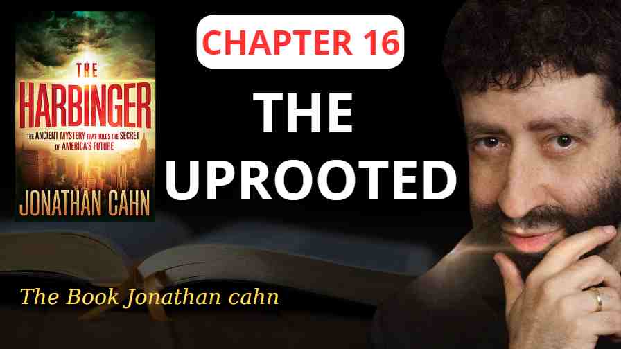 THIS is Why Many Christians Miss God’s Will