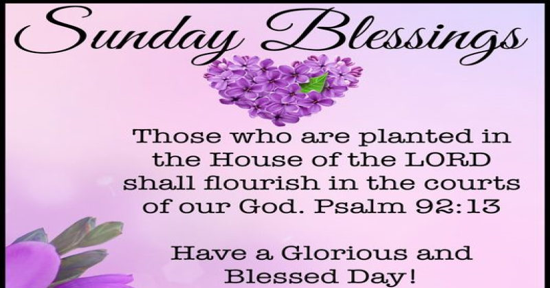 Sunday Blessings! September 17, 2023