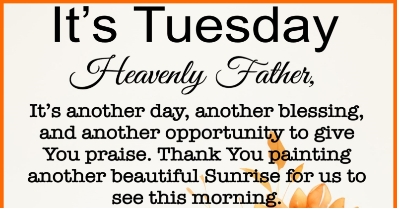 Tuesday Blessings! November 14, 2023